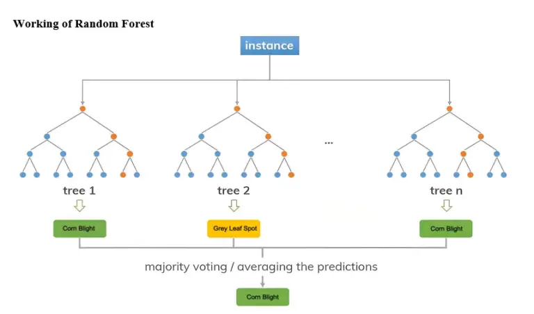 Maize Leaf Disease Detection using Machine Learning