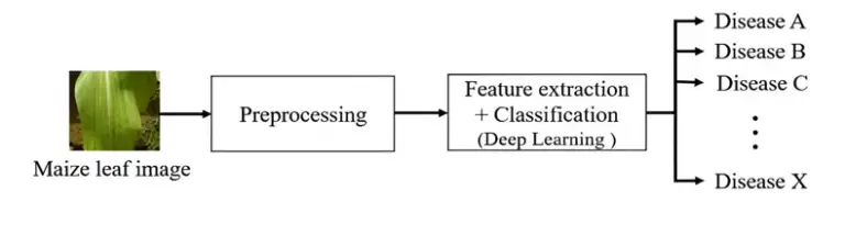 Maize Leaf Disease Detection using Machine Learning