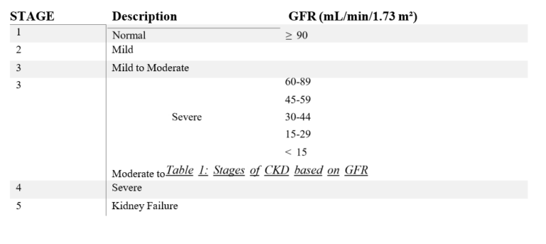 Chronic Kidney Disease Prediction Using Machine Learning